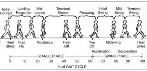 Gait Assessment