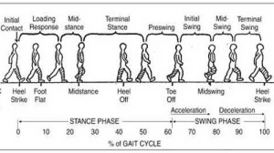 Gait Assessment