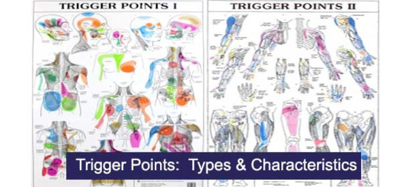 4 TYPES and 8 Characteristics of TRIGGER POINTS