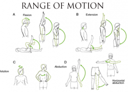 Massage Therapy Assessment